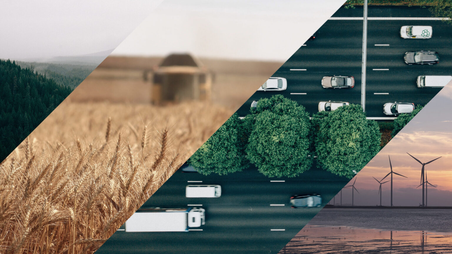 Liikmetutvustus: Ragn-Sells AS-i keskkonnategevused ja arendused - EKJA